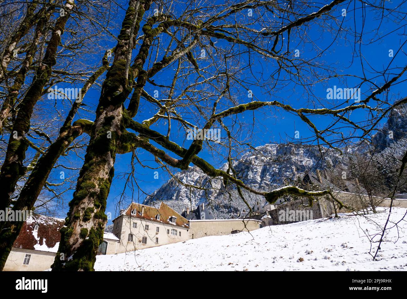 Grande Chartreuse monastery area, Isère, France Stock Photo - Alamy