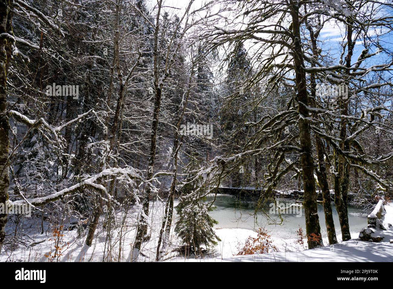 Chartreuse chain hi-res stock photography and images - Alamy