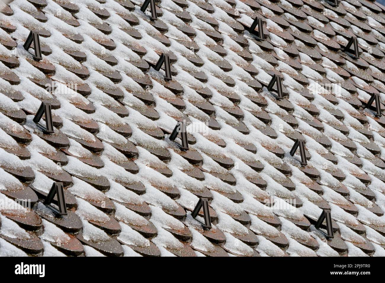 Roof tiles covered with a thin snow cover, Chartreuse chain, Isère ...