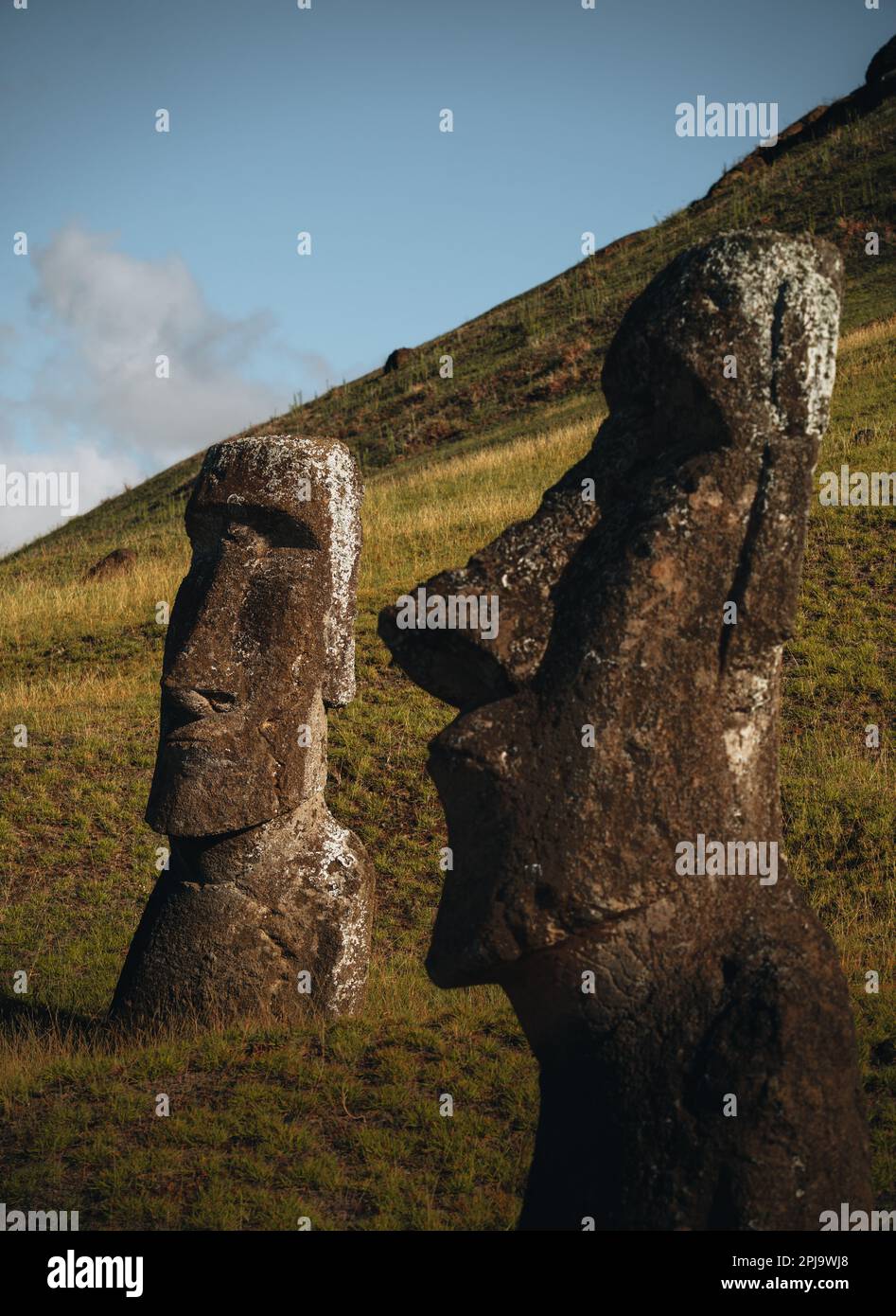 Moai statues in the Rano Raraku Volcano in Easter Island, Rapa Nui ...