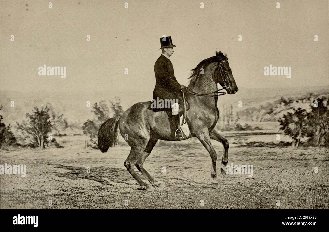 James fillis hi-res stock photography and images - Alamy