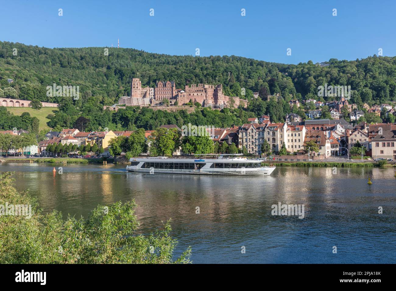 Cruise boat on River Neckar by Heidelberg Castle on Konigstuhl hillside ...