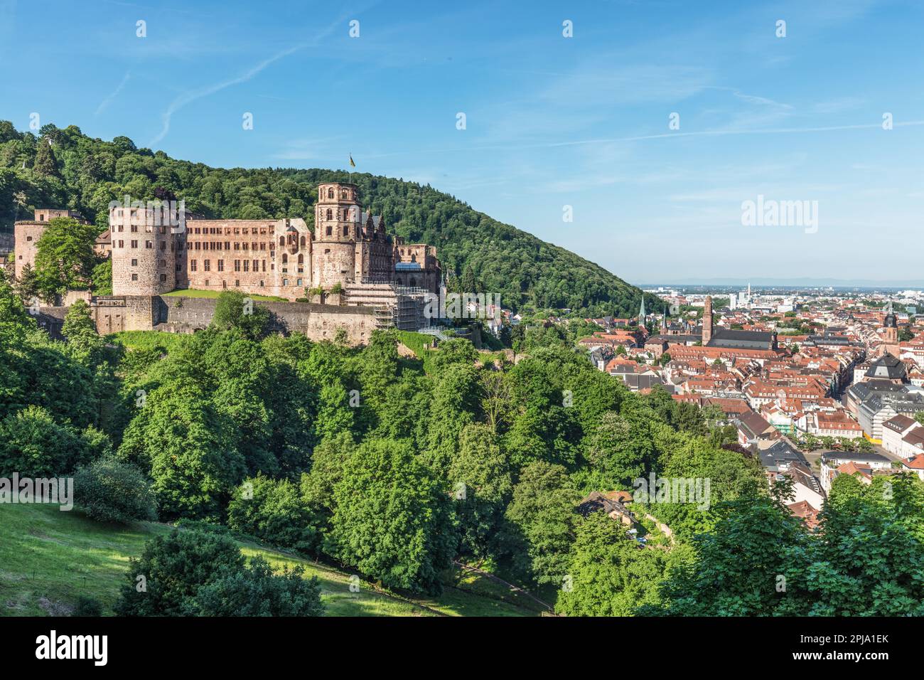 Heidelberg Castle on Konigstuhl hillside a 13th century renaissance ...