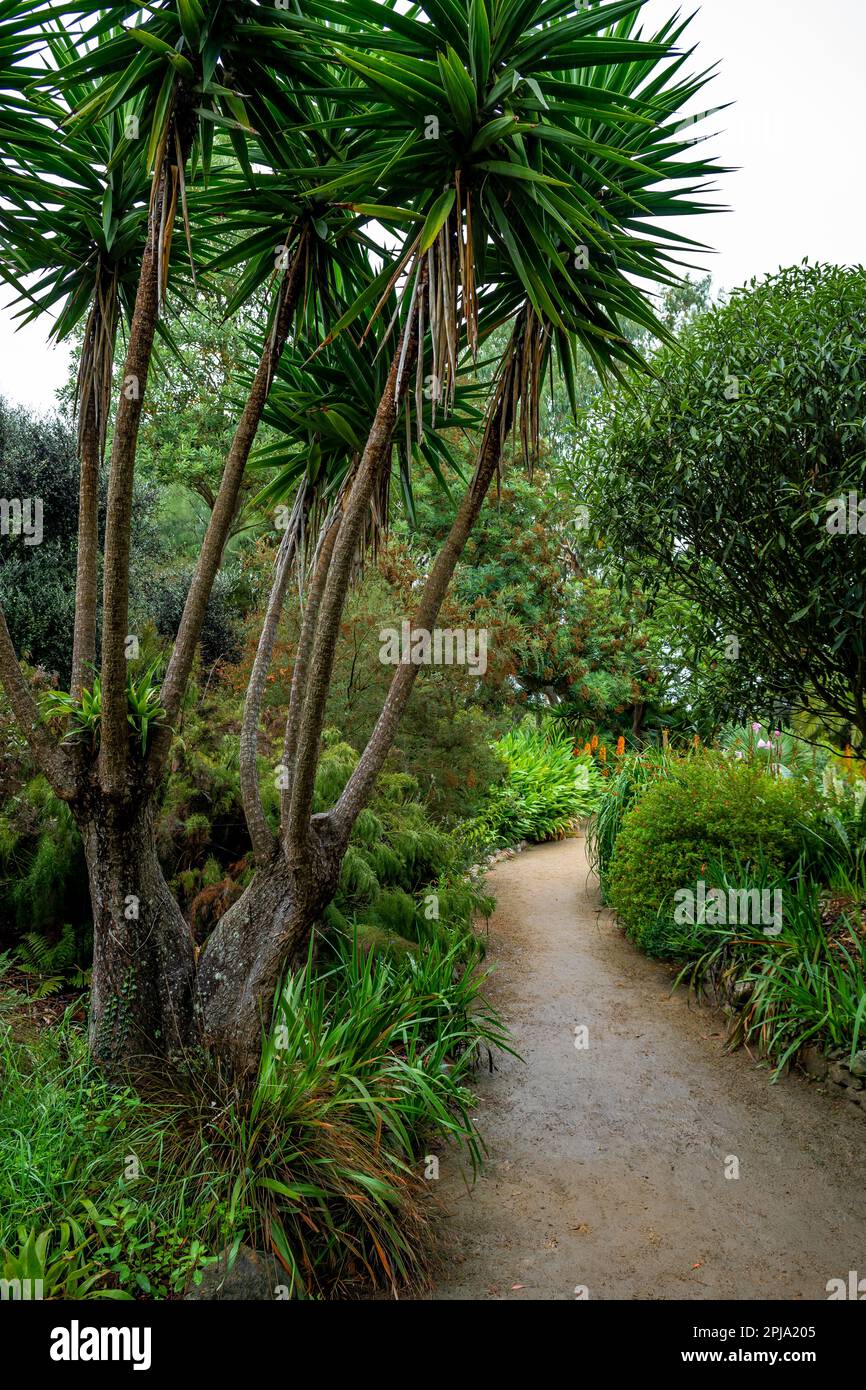 Exotic Garden Of Village Roscoff At The Atlantic Coast Of Brittany ...