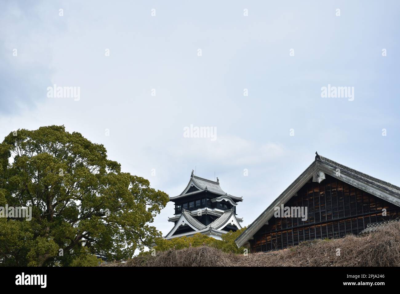 Kumamoto castle destroyed by fire but governor rebuild and conserve in ...