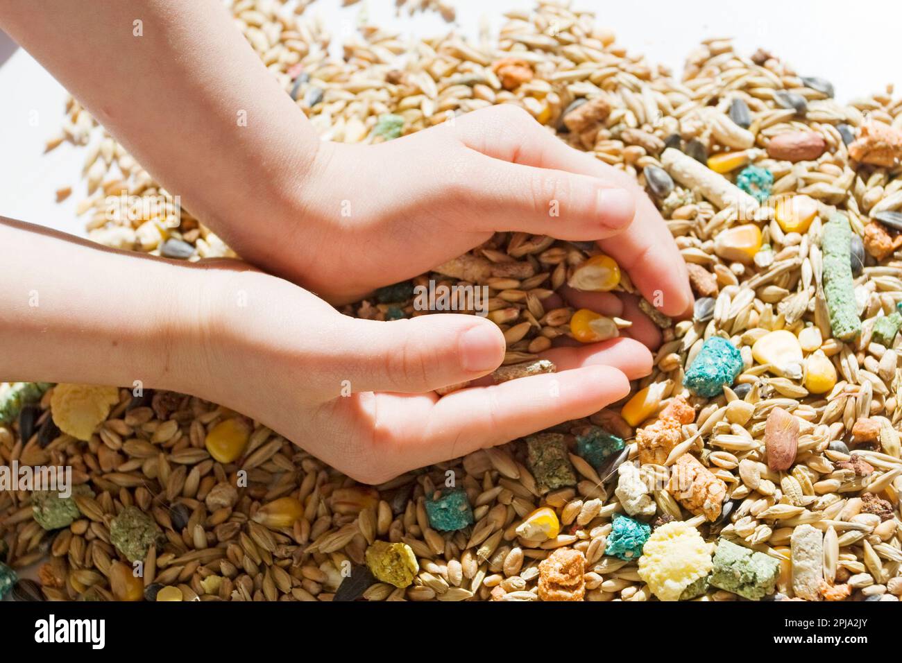 Handful of seeds farmer hi-res stock photography and images - Alamy
