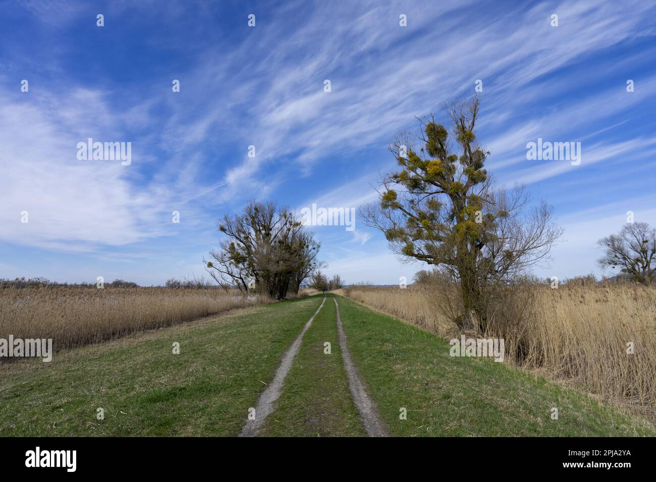Fantastic countryside hi-res stock photography and images - Alamy