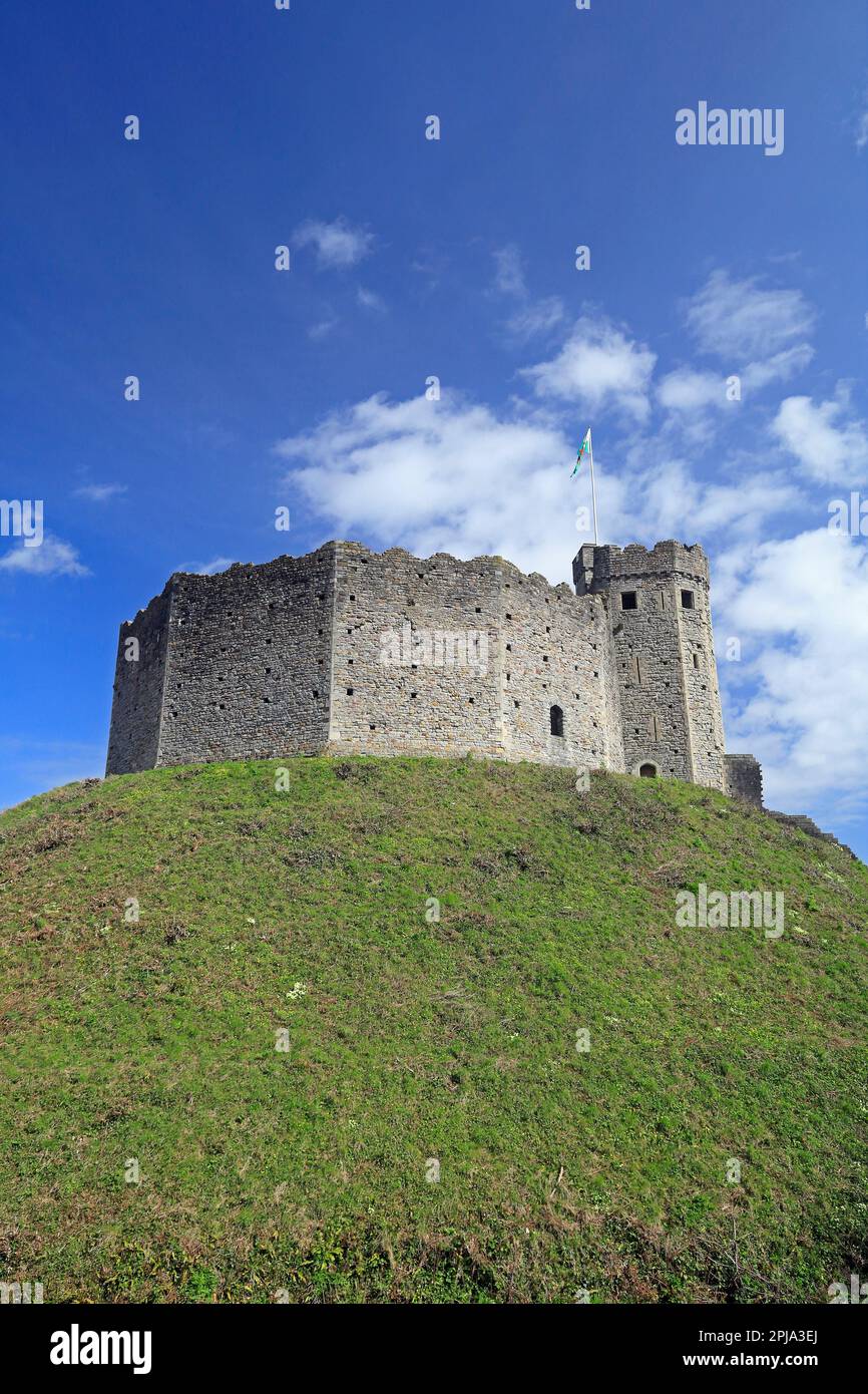 Cardiff Castle the Norman Keep. March 2023. Spring Stock Photo - Alamy