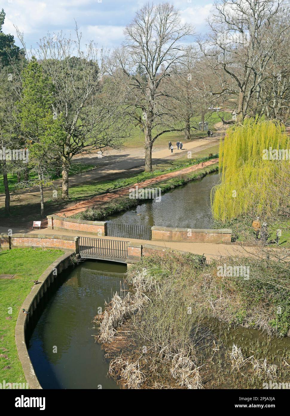 Bute Park and Bute Dock Feeder Canal, from elevated position.. March ...