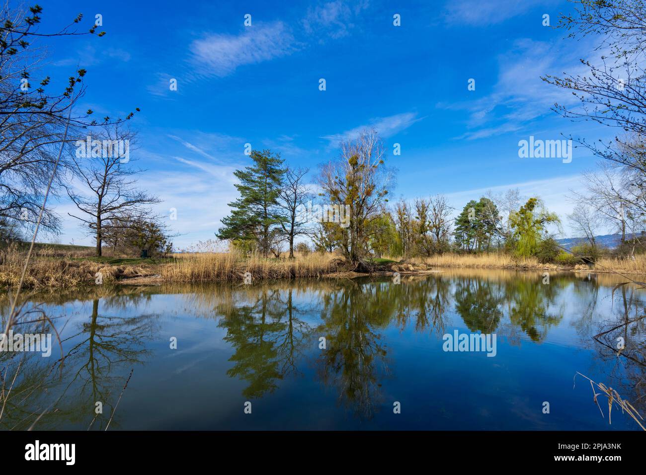 Calm grass and trees hi-res stock photography and images - Alamy