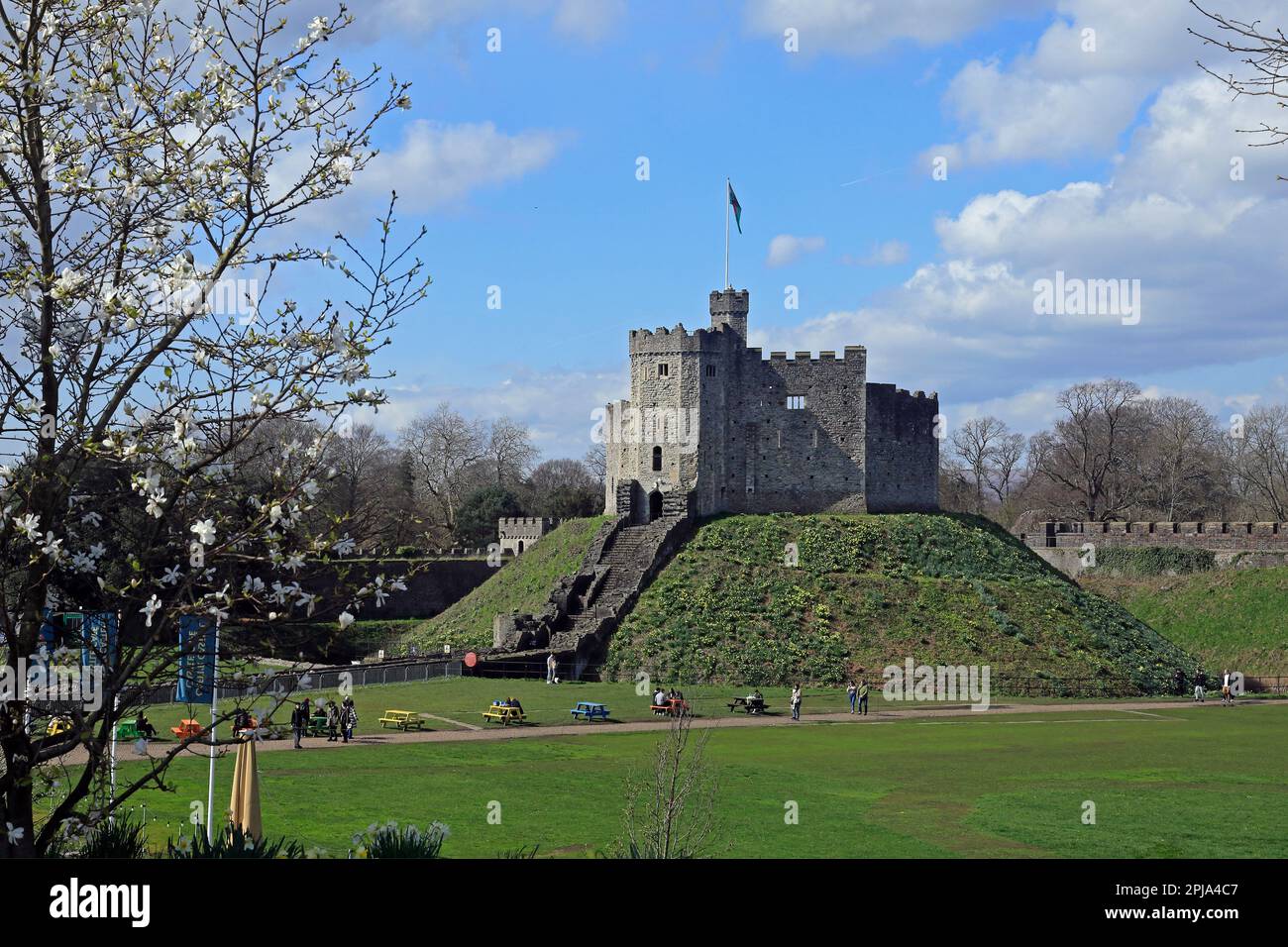 Cardiff Castle the Norman Keep. March 2023. Spring Stock Photo - Alamy