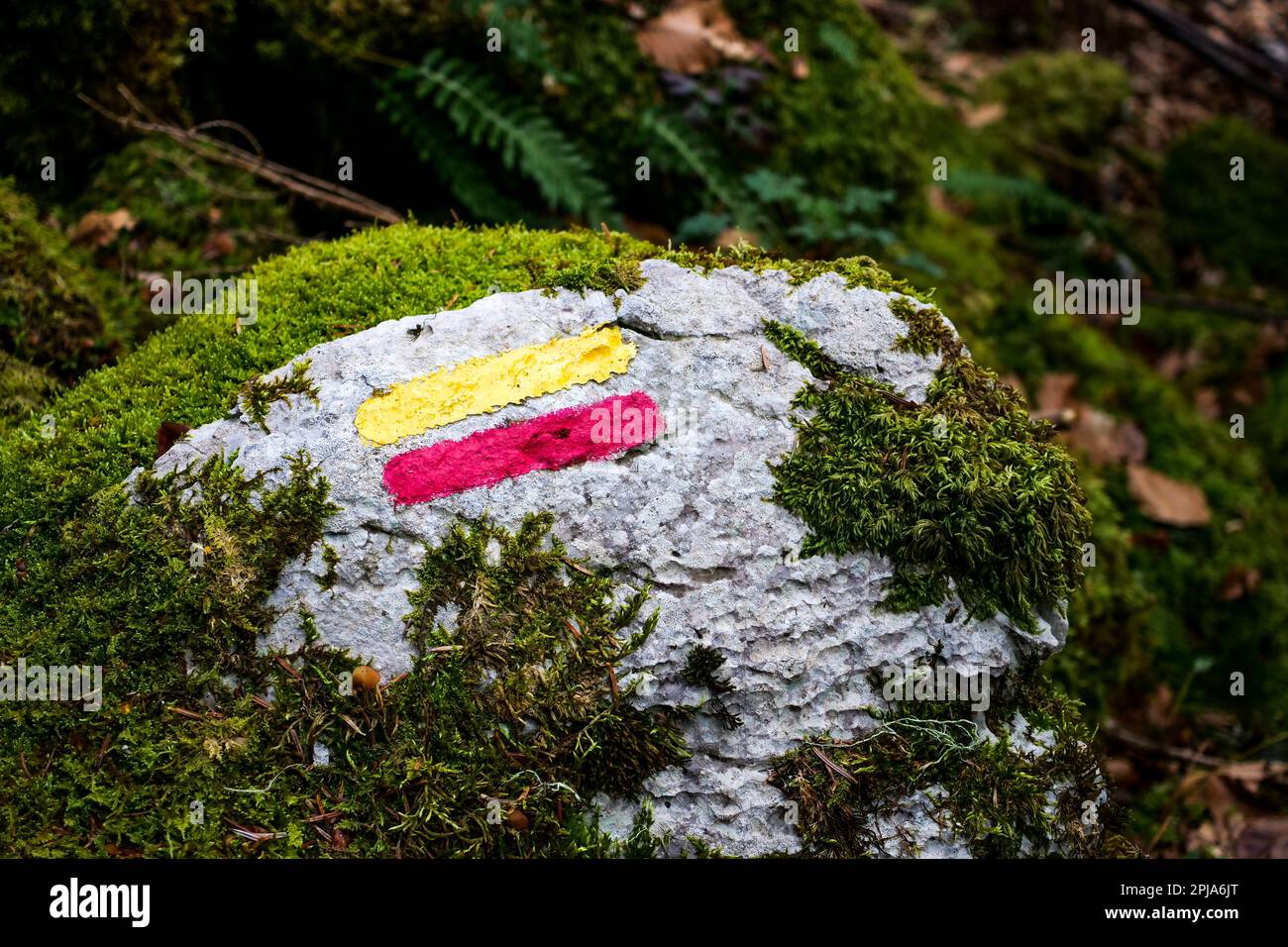 Grand tour de chartreuse track hi-res stock photography and images - Alamy