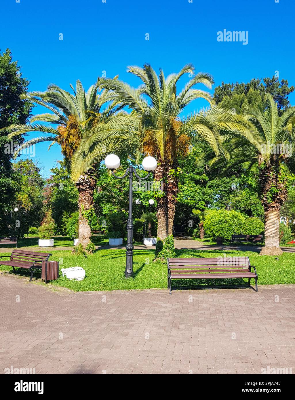 A cozy corner of a tropical city park, with benches, lanterns, alleys ...