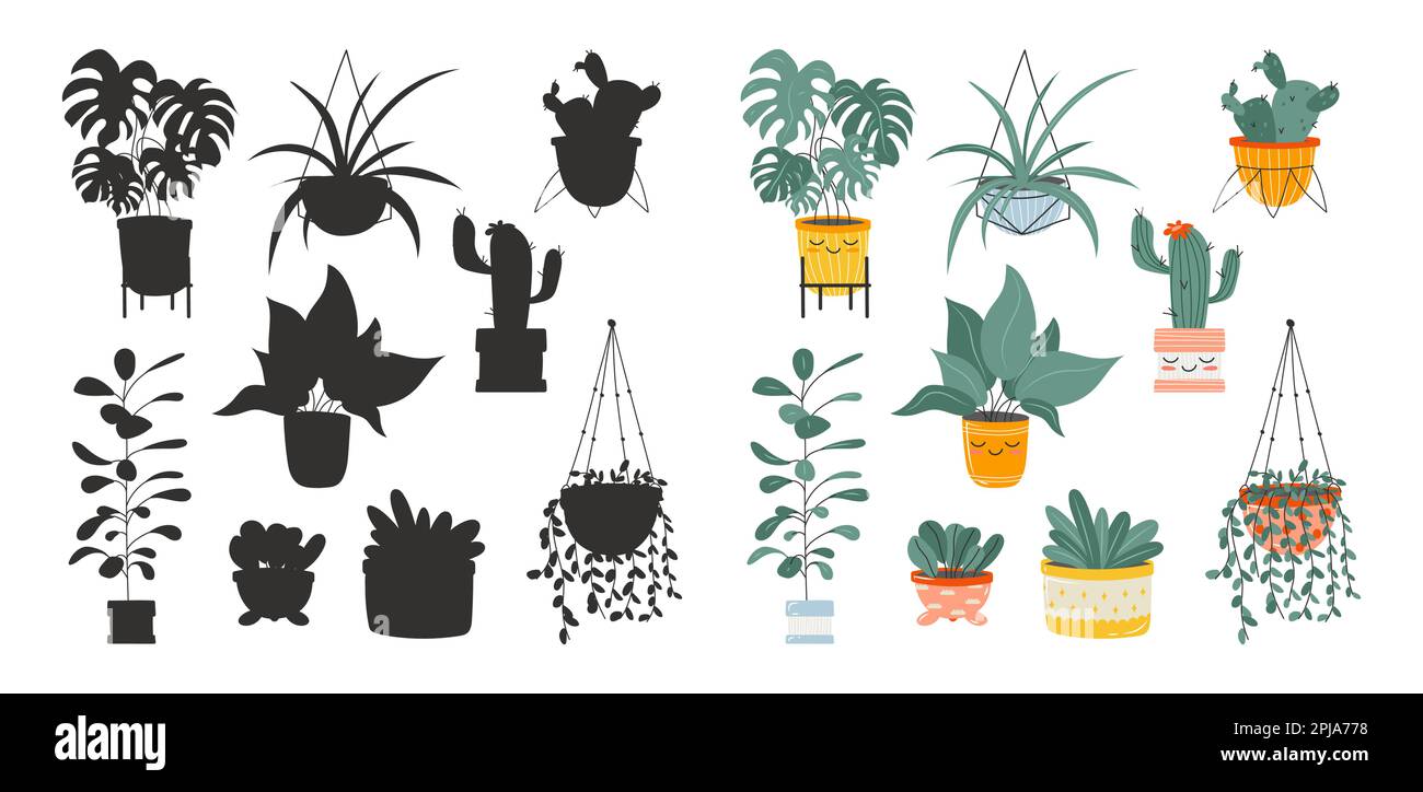 find correct shadow silhouette Stock Vector Image & Art - Alamy