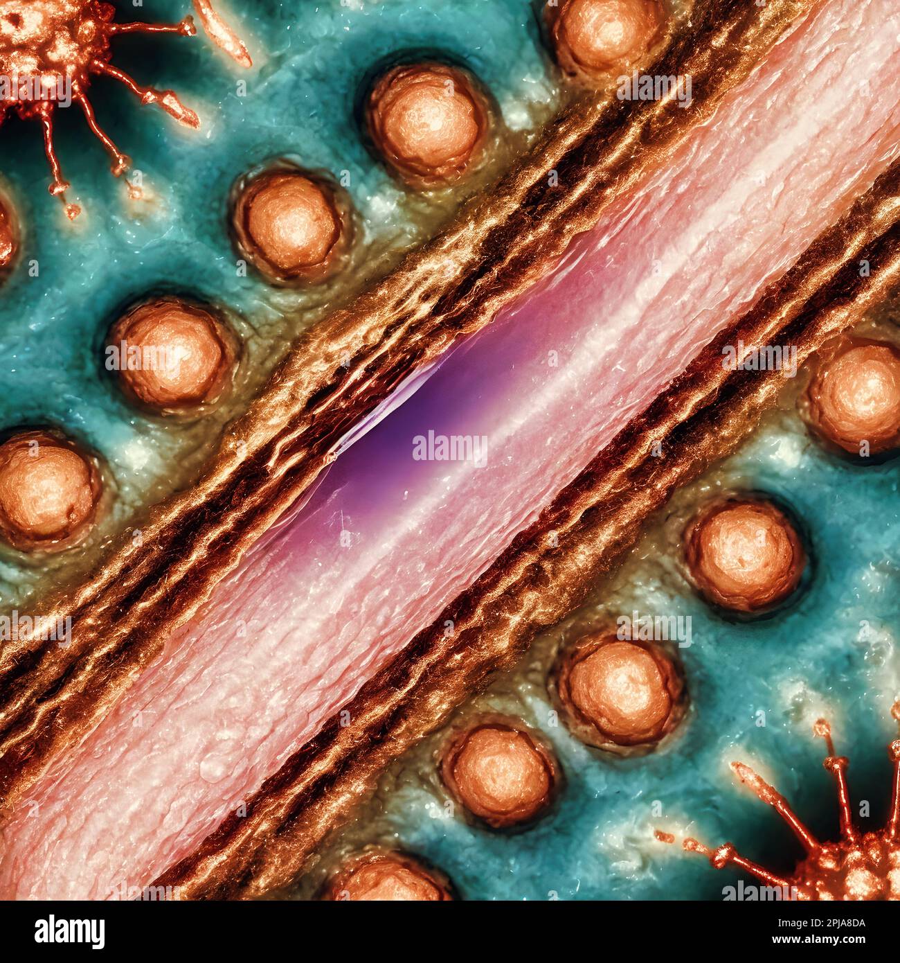 Fluorescence microscopy dna hi-res stock photography and images - Alamy
