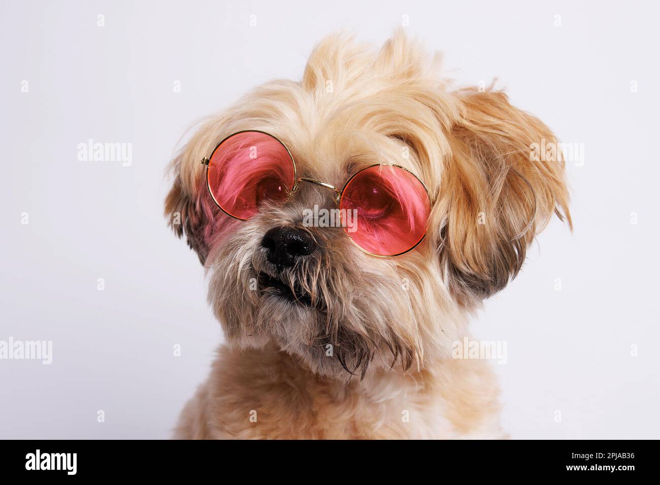 Space one photo session hi-res stock photography and images - Alamy