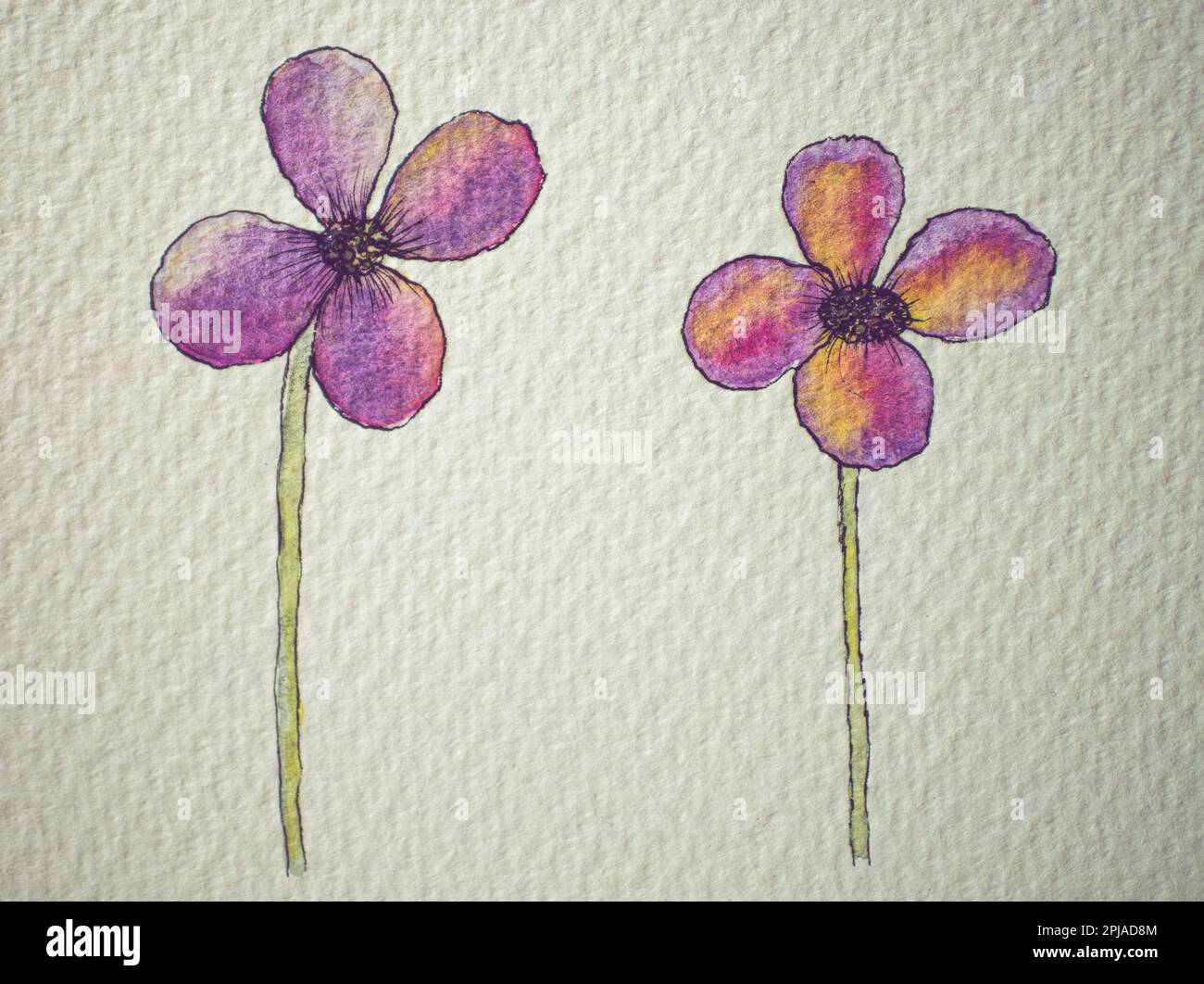 Two small flowers on a pink textured paper background Stock Photo - Alamy
