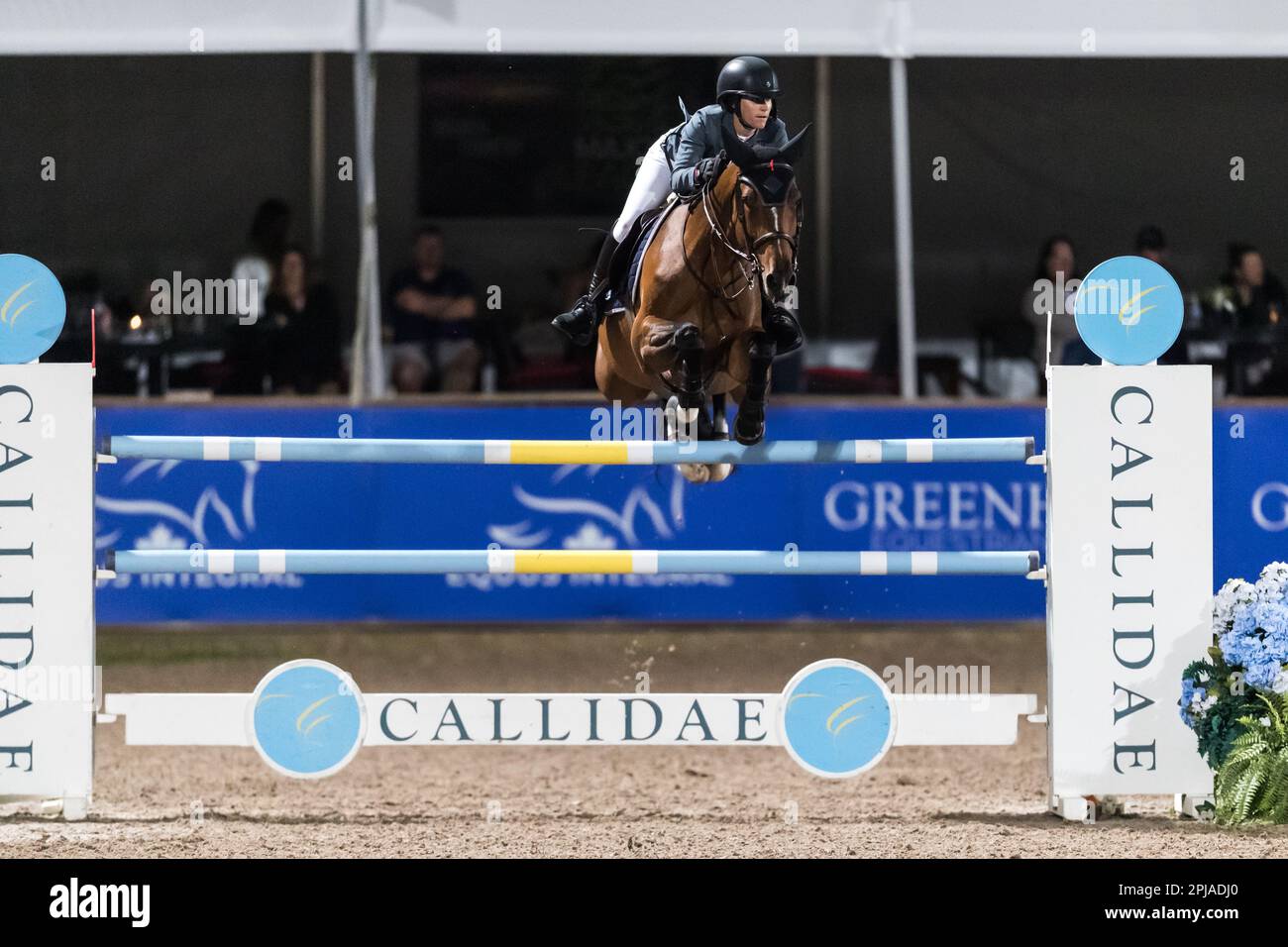 Riders compete at a Major League Show Jumping event at Angelstone ...