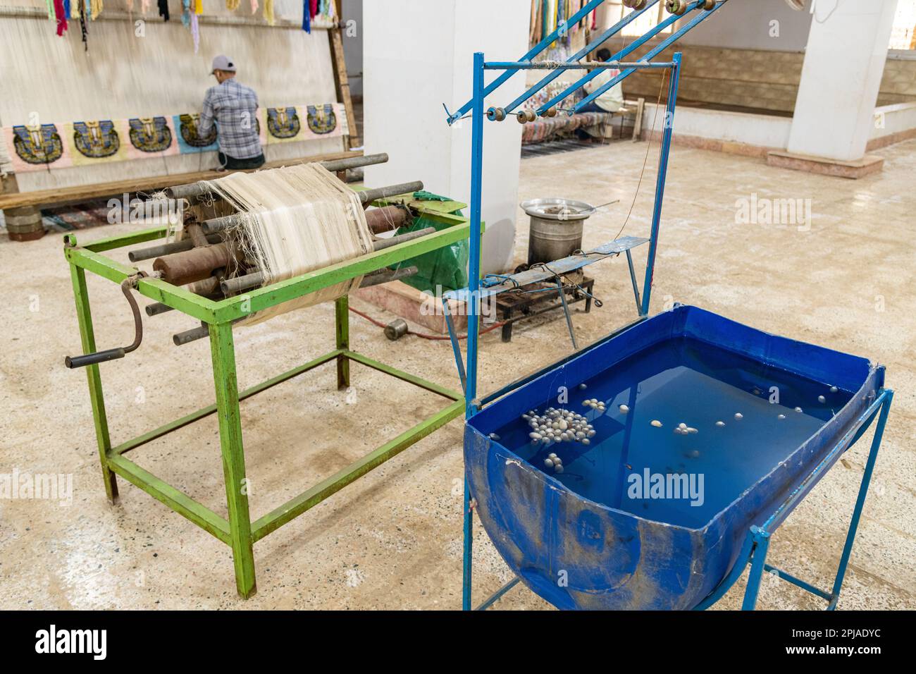 Silkworms being harvested to create silk Egyptian rugs at a factory in ...