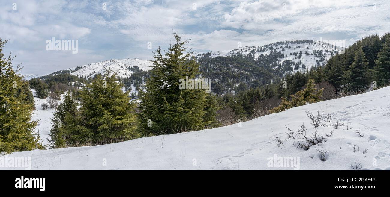 Panorama view of the Lebanon mountain region Baskinta in winter Stock ...