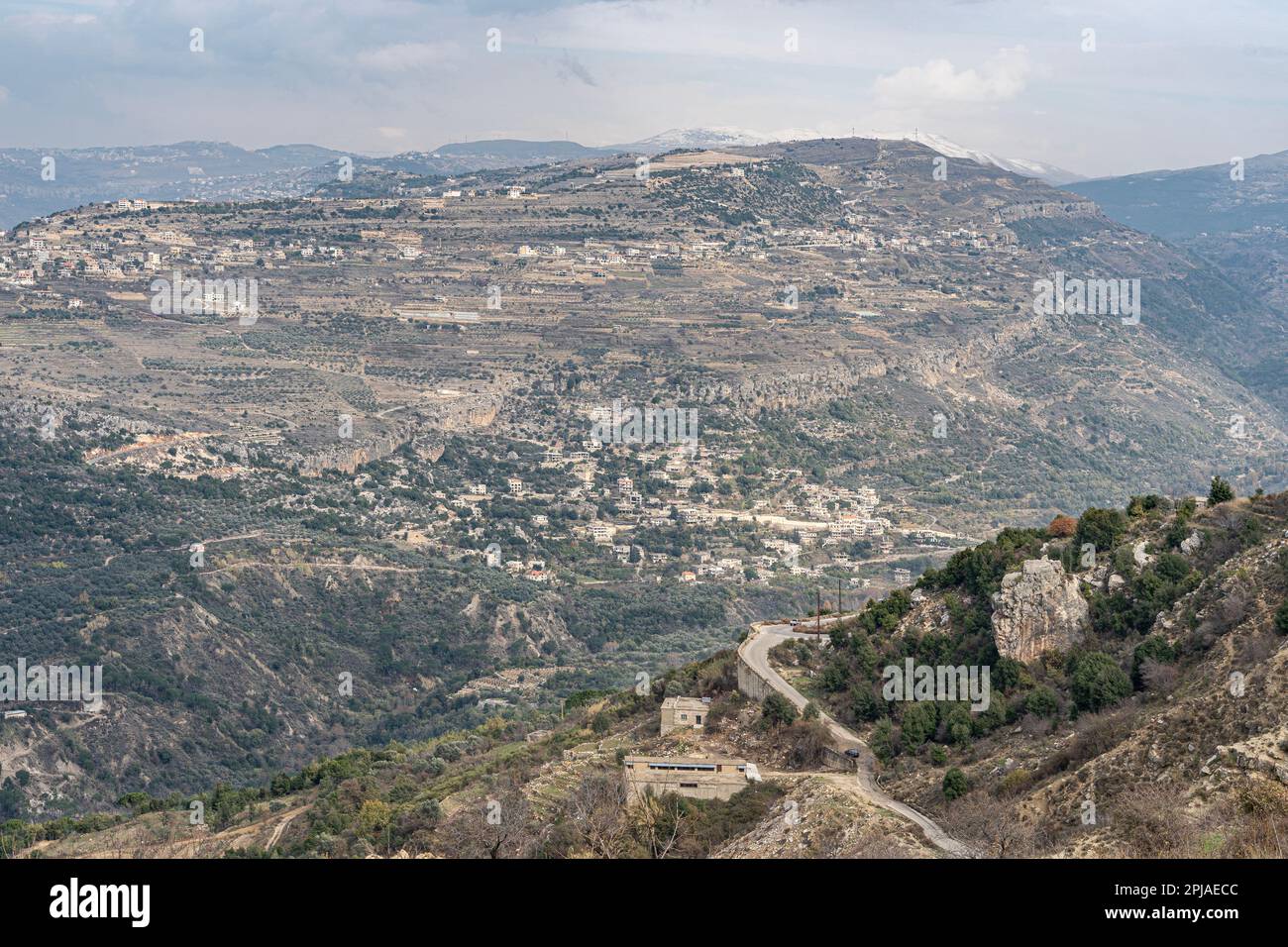 Lebanon mount field nature tree hi-res stock photography and images - Alamy
