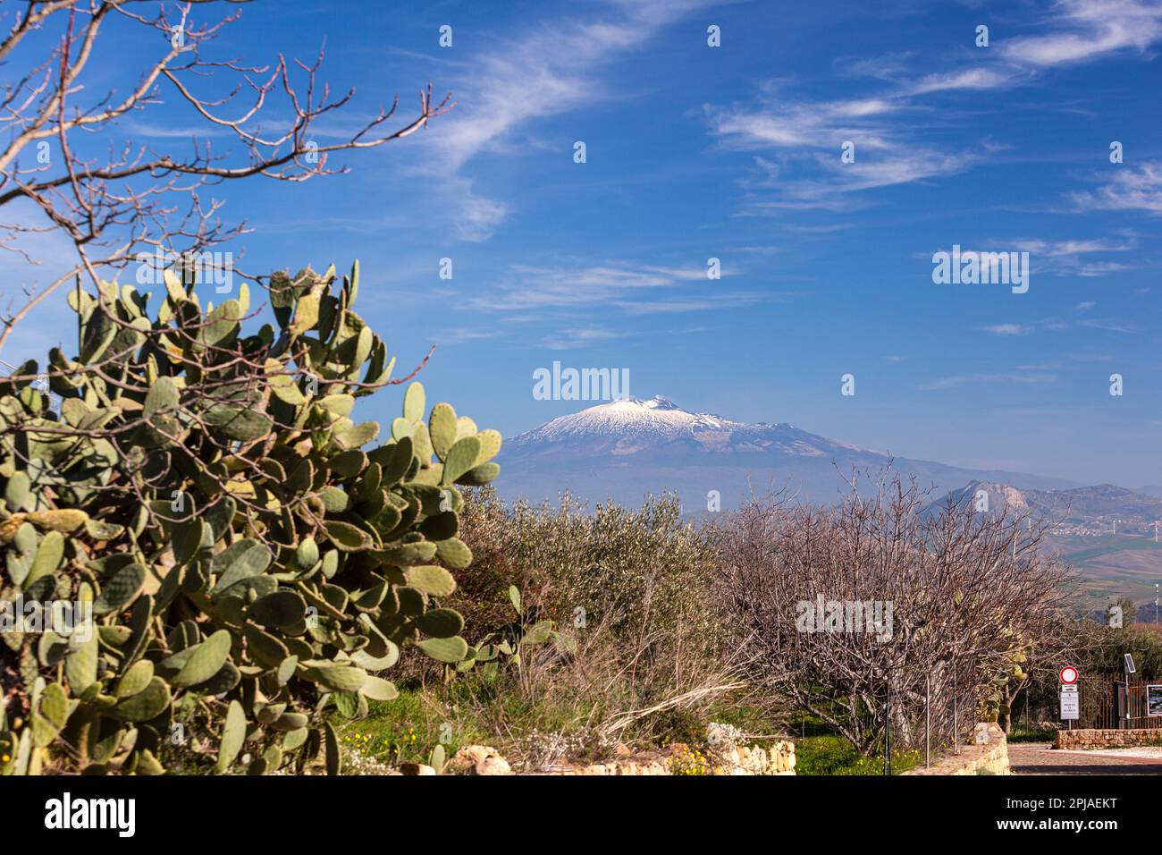 View of the Etna volcano from Morgantina. In the foreground the typical ...