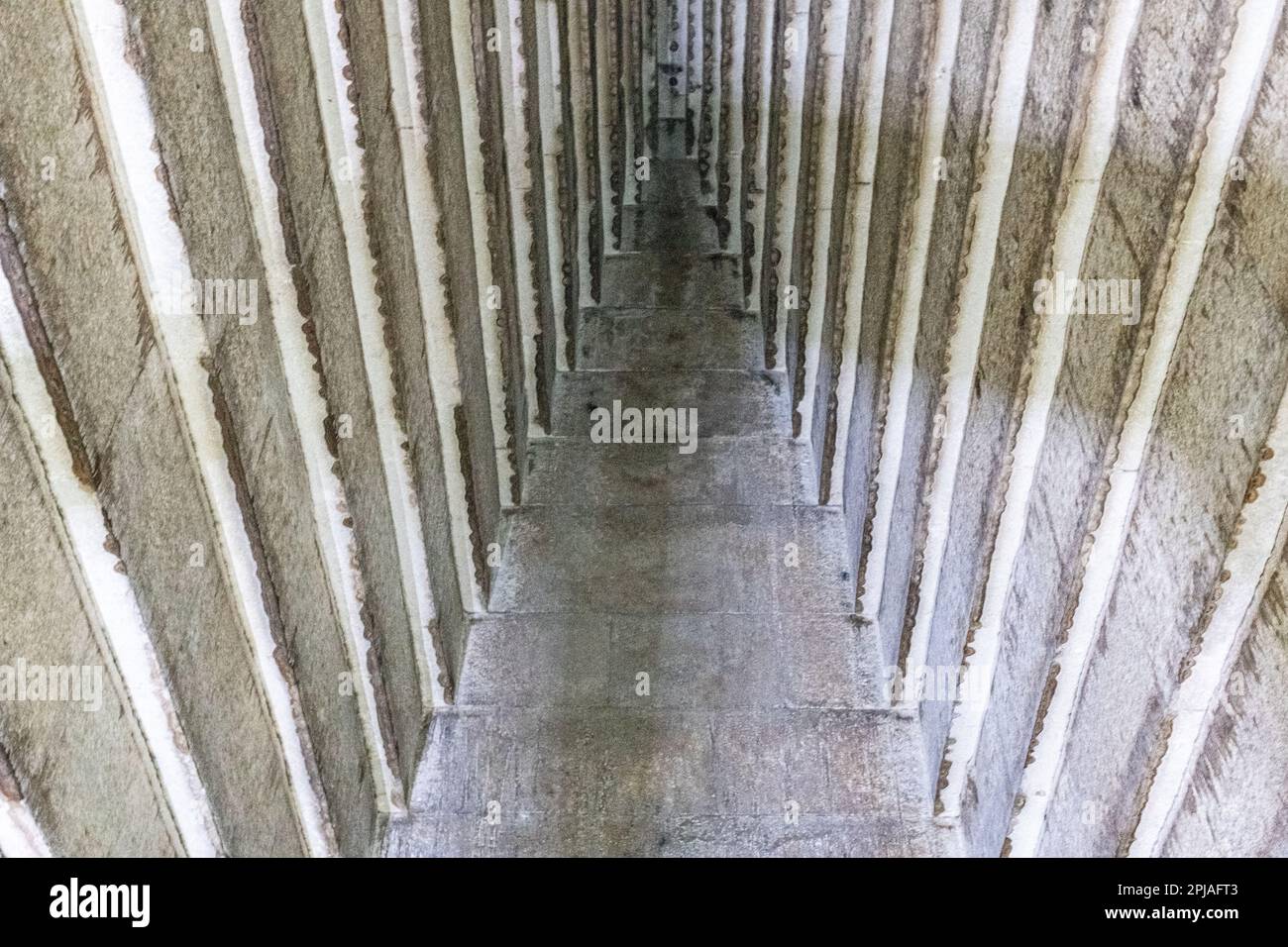 The ceiling/roof of a chamber inside the Red Pyramid in the necropolis ...