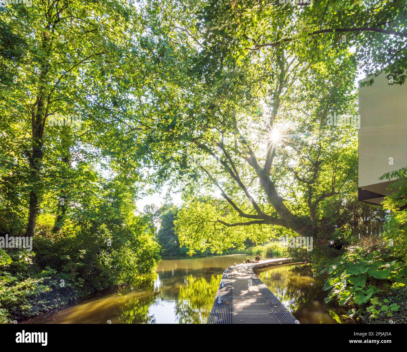 Bremen: pond Stadtgraben, museum Gerhard-Marcks-Haus, footbridge Paula ...