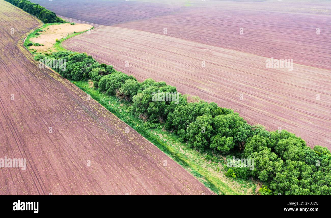 Aerial view of empty unsown agricultural fields, but prepared with ...