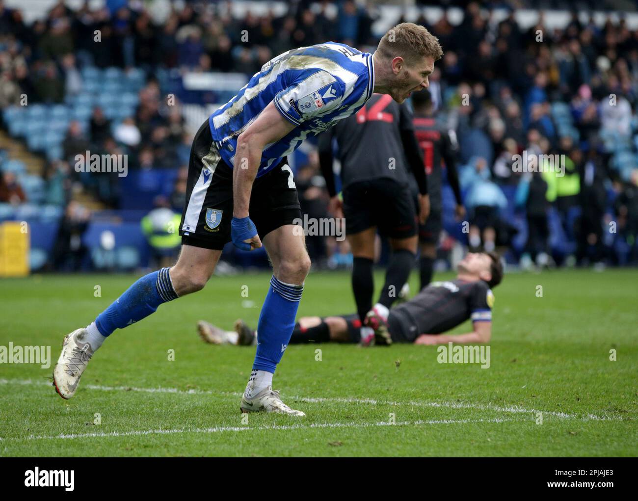Sheffield Wednesday Michael Smith reacts after missing a chance during ...