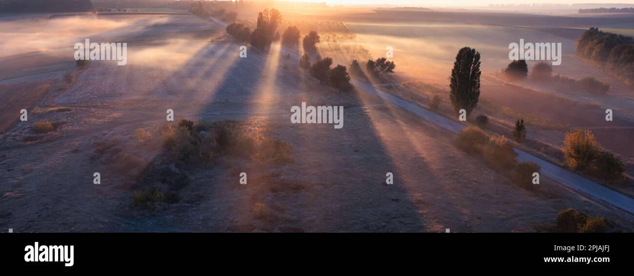 Start your day with a peaceful drive through the misty countryside ...