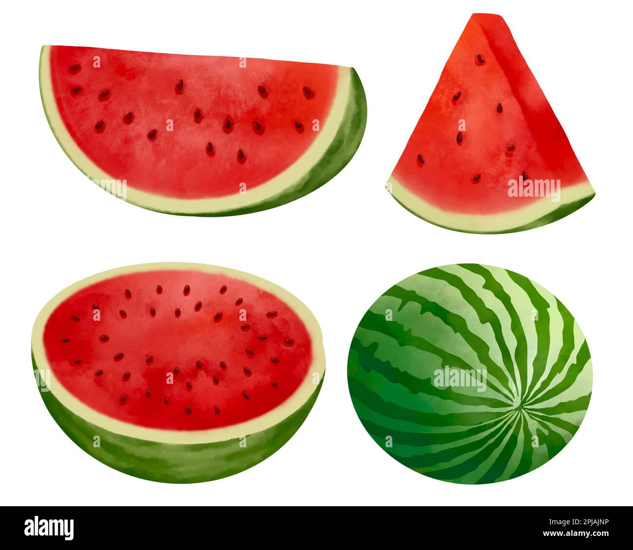 Set of watercolor watermelon. Hand drawn summer watermelon illustration ...