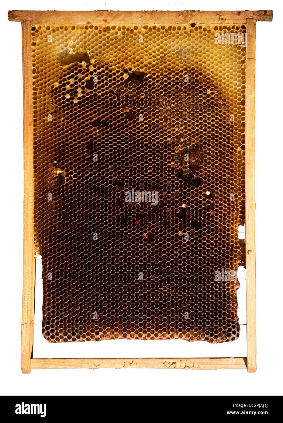 Let your design buzz with beauty with this vintage beehive frame ...