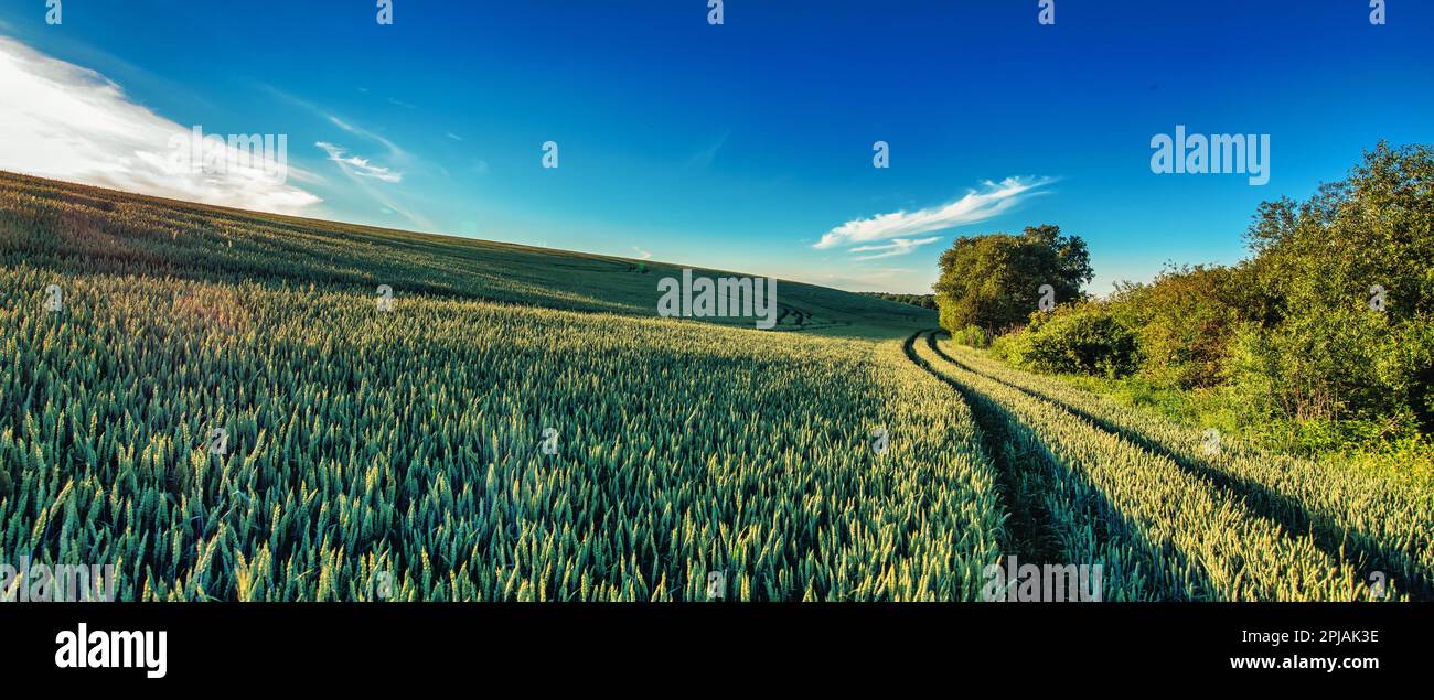 Let yourself be mesmerized by the captivating sight of vivid green ...