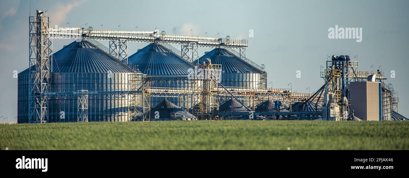 A towering grain silo stands tall amidst lush green fields and a ...