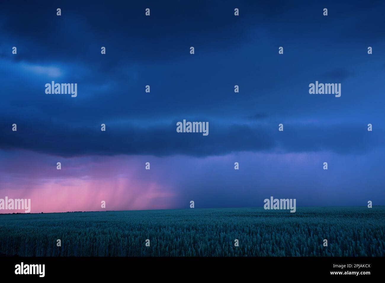 power of nature with a stunning panorama of a thunderstorm. This ...