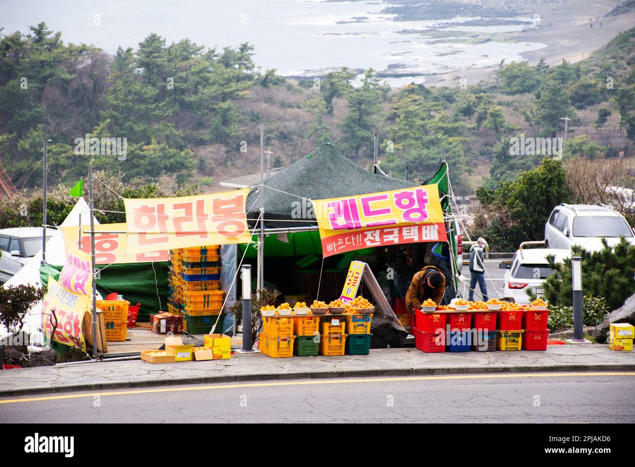 Life lifestyle of hawker stall traditional korean people sale hallabong ...
