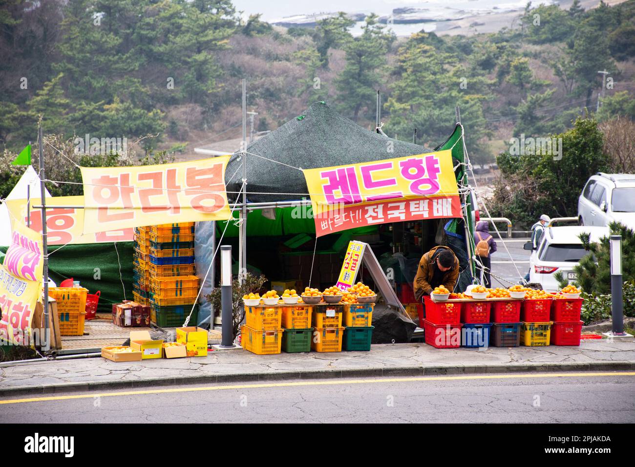 Life lifestyle of hawker stall traditional korean people sale hallabong ...