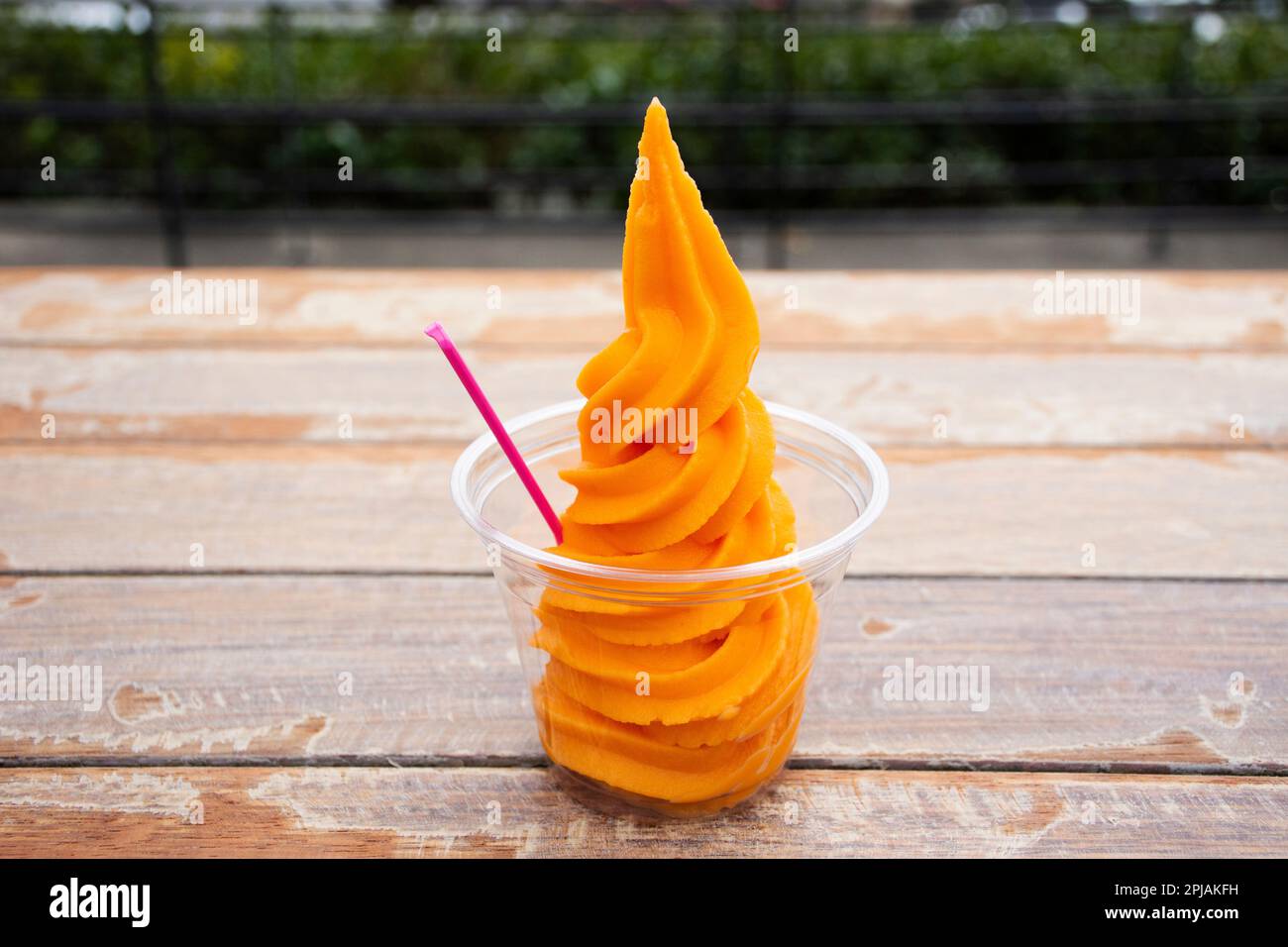 Famous food item and popular sweet dessert of Jeju island hallabong ...