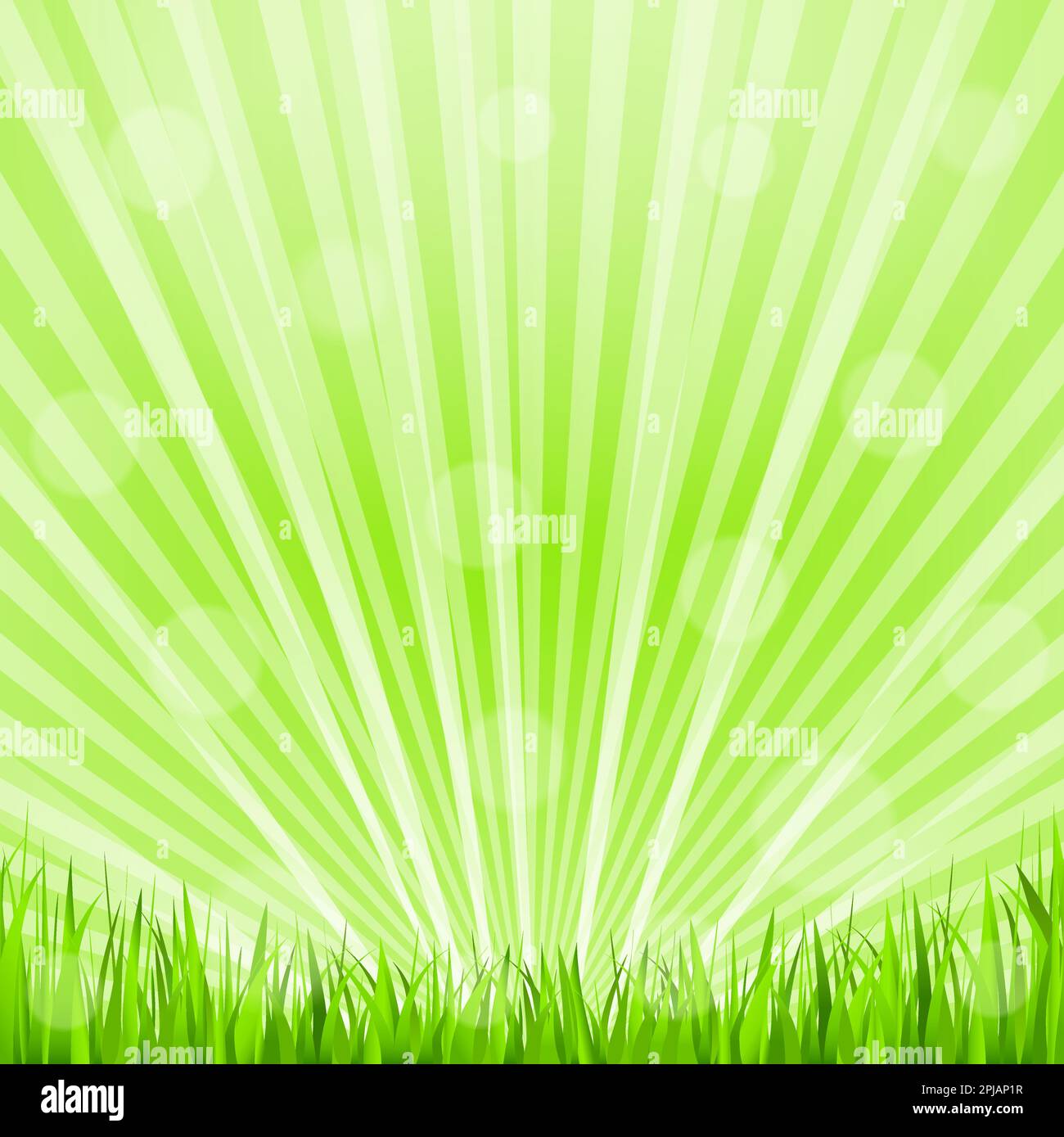 Abstract green background with grass, vector eps10 illustration Stock ...