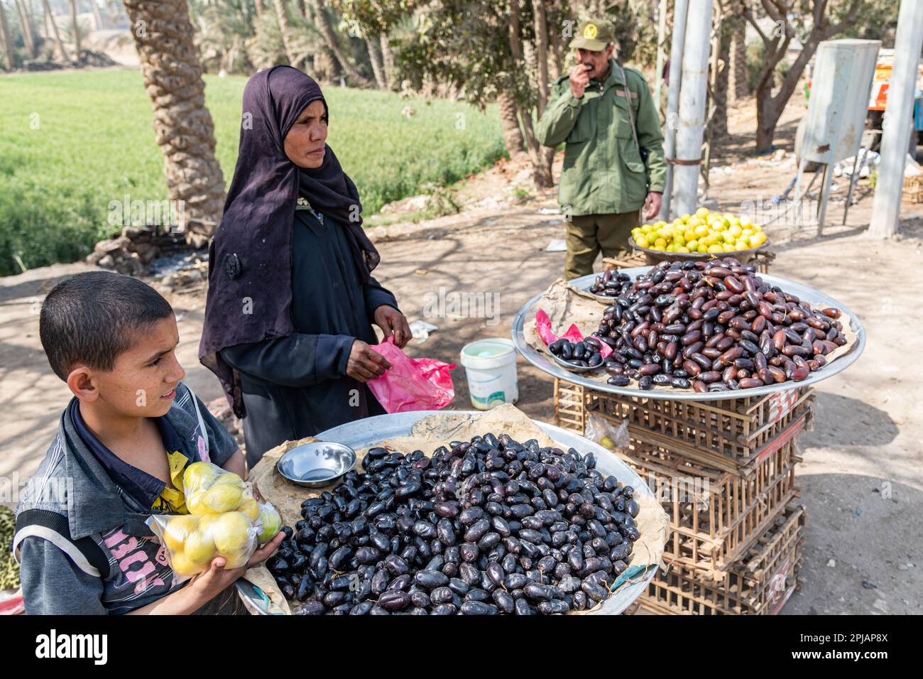 A pile of fresh dates being sold by a local family in Giza in Egypt ...