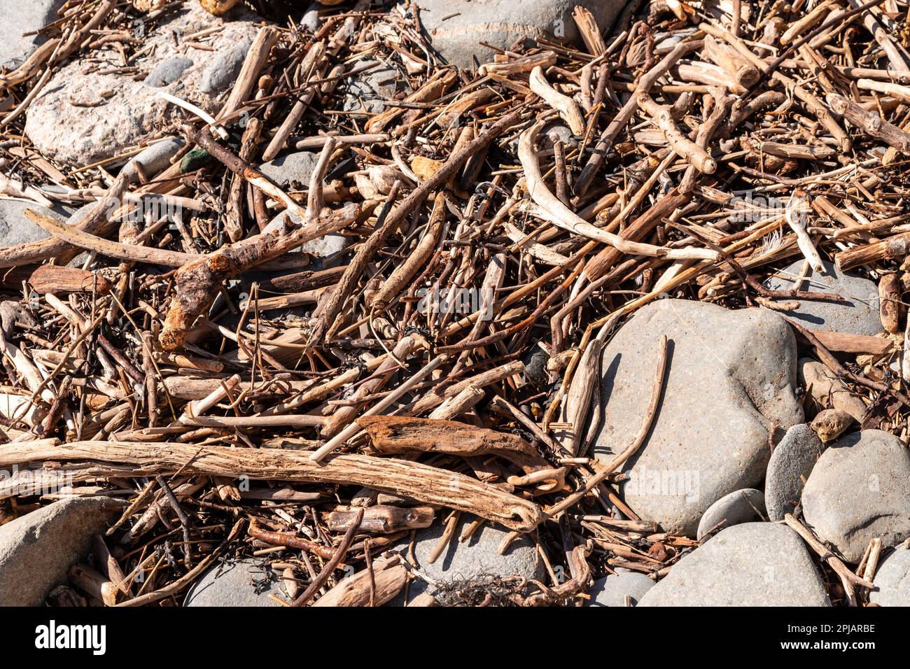 Dry sticks driftwood on a beach, North Wales coast Stock Photo - Alamy