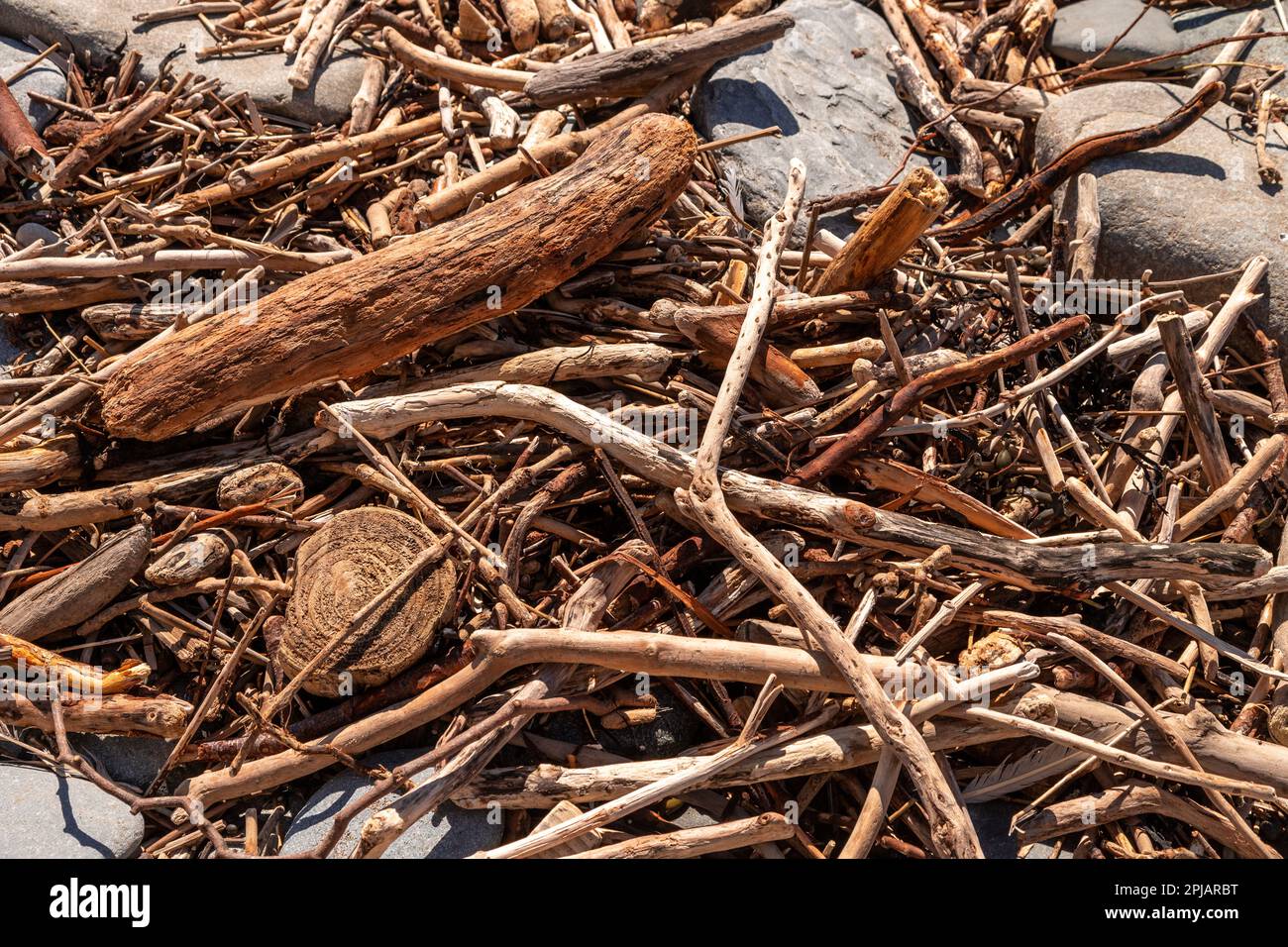 Dry sticks driftwood on a beach, North Wales coast Stock Photo - Alamy