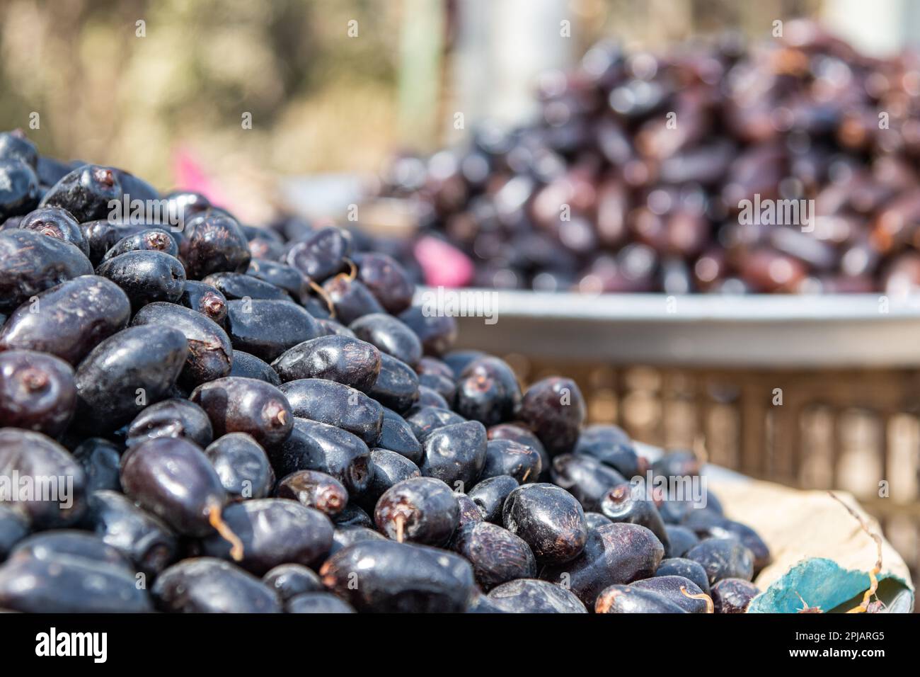 A pile of fresh dates being sold by a local family in Giza in Egypt ...