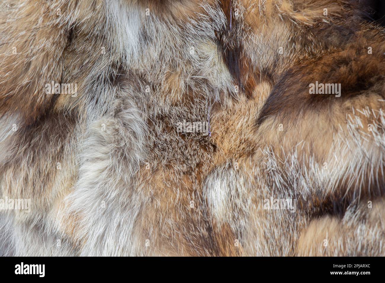 fur coat from pieces of fur of different animals as a background Stock ...