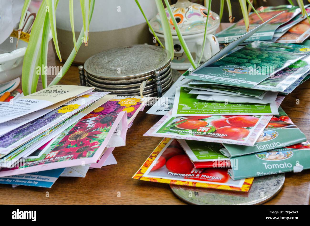 A selection of packets of seeds on a coffee table ready to be sown ...