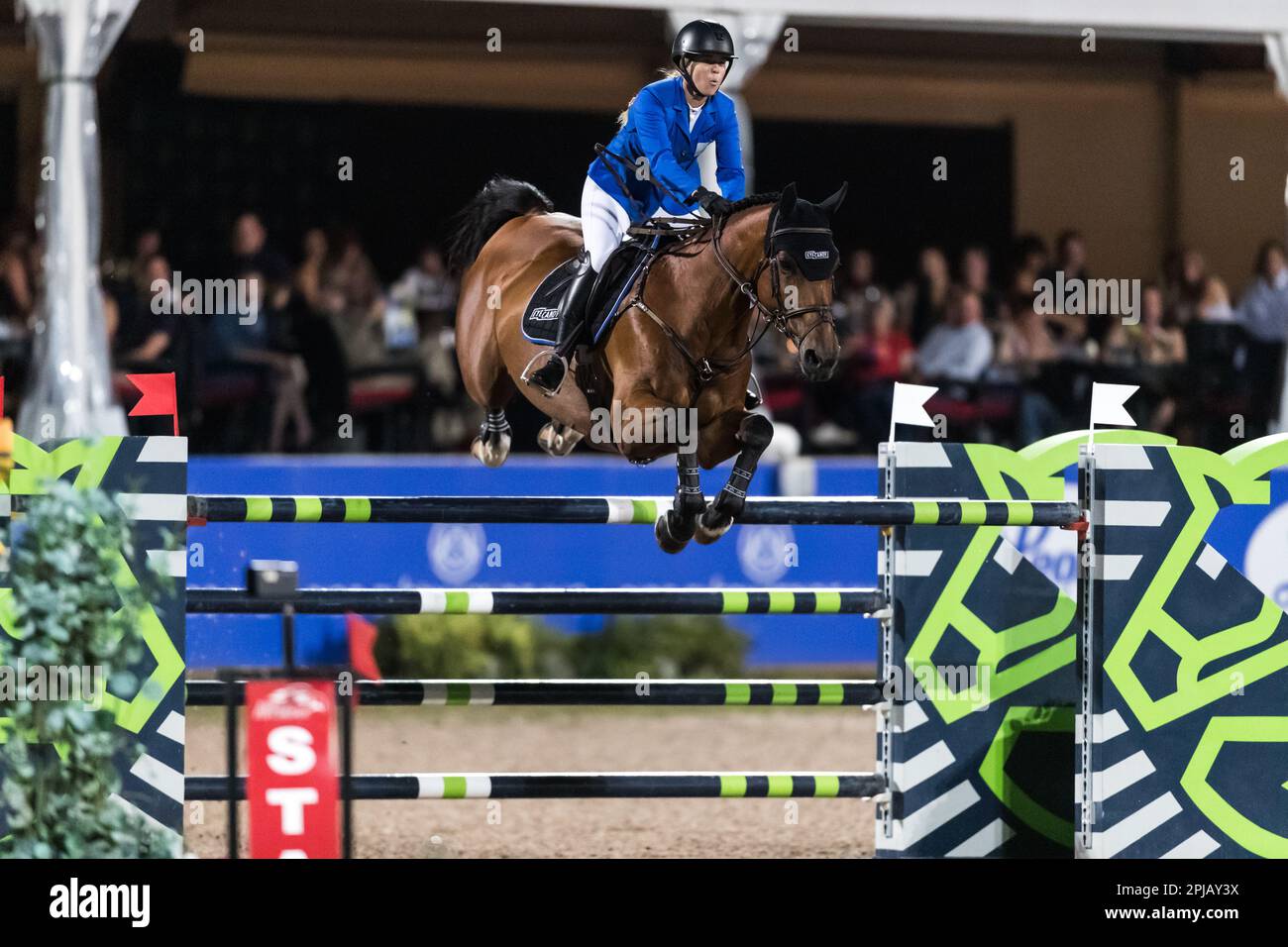 competes at Major League Show Jumping event at Angelstone Tournaments ...