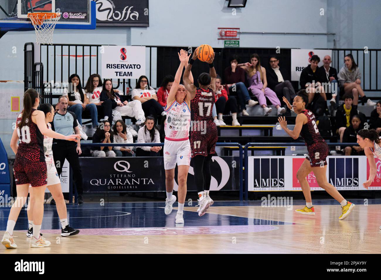 Holmes sequoia hi-res stock photography and images - Alamy