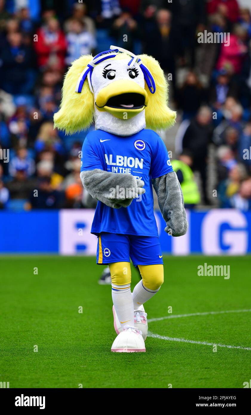 Brighton, UK. 01st Apr, 2023. Sally the Seagull before the Premier ...