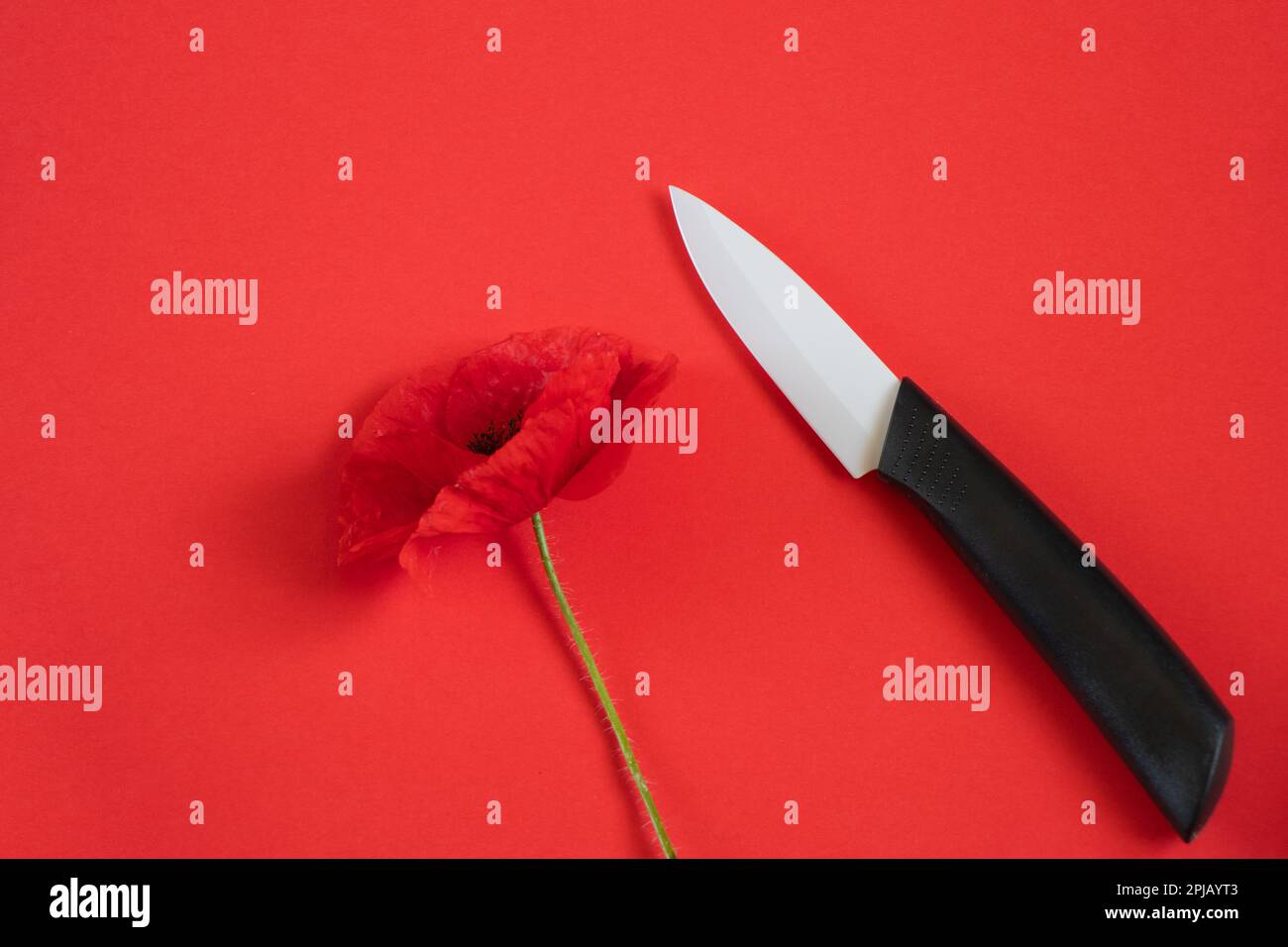 ceramic knife on a red background in isolation Stock Photo - Alamy